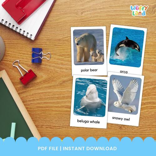 Arctic Animals Flashcards | Polar Animals Vocabulary Cards | Winter Animals