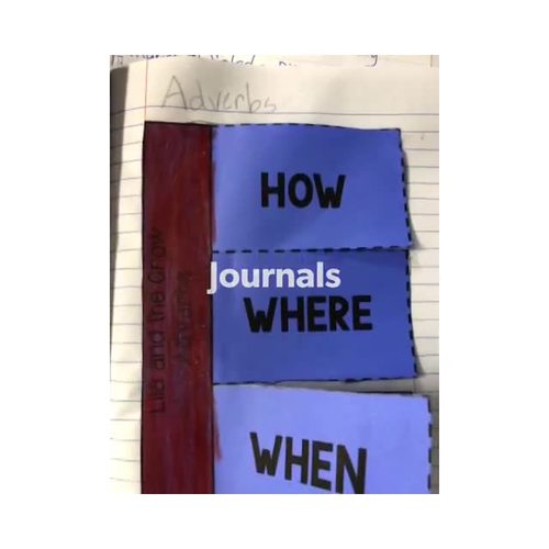 Lila and the Crow Picture Book Unit by School House Rap | TpT