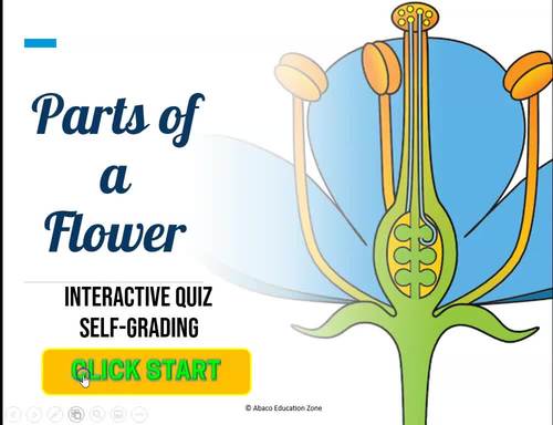 Parts of a Flower Digital + Print Activity by Abaco Education Zone