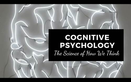 Cognitive Psychology Unit Bundle (45-50 Minute Periods) (OLDER CURRICULUM)