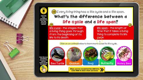 Animal Life Cycle: Butterfly Frog Chicken Bee Turtle Science Digital ...