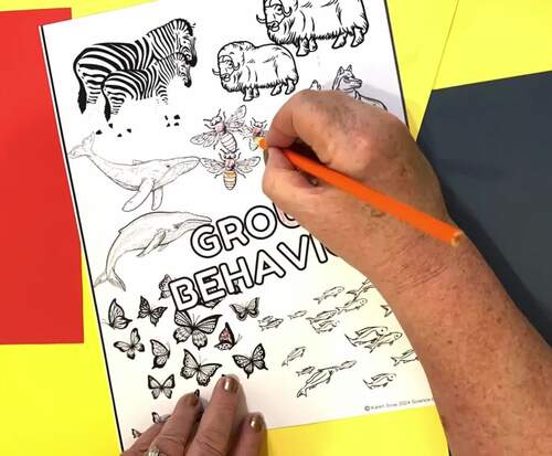 group wild animal coloring pages for teens