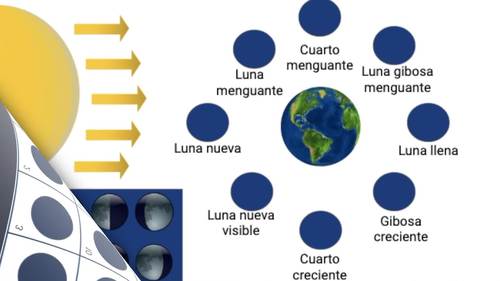 Interactive Moon Phases Bundle in English & Spanish! by Prepless