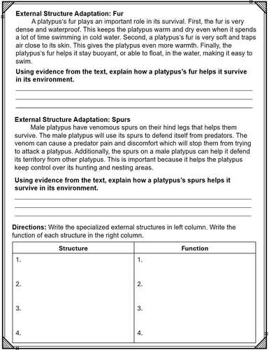 Structural Adaptations of Platypus by Connecting with Social Studies