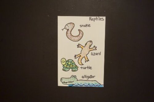 Let's Draw Animal Classification-Reptiles! by Patty Fernandez Artist