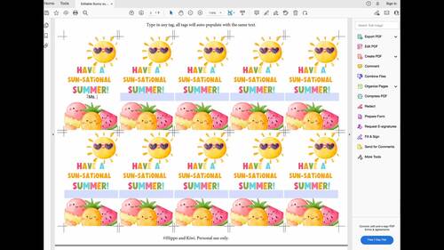 Editable End of Year Gift Tags from Teacher to Students - Summer Gift Tags