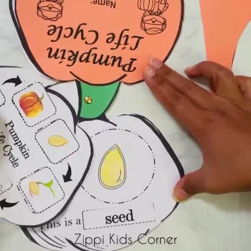 Pumpkin Craft Booklet: Pumpkin Life Cycle | Pumpkin Activities| Pumpkin ...