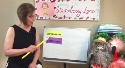 VIDEO: Reading: Set 1. Lesson 54. Word Family Pattern -ong | TPT