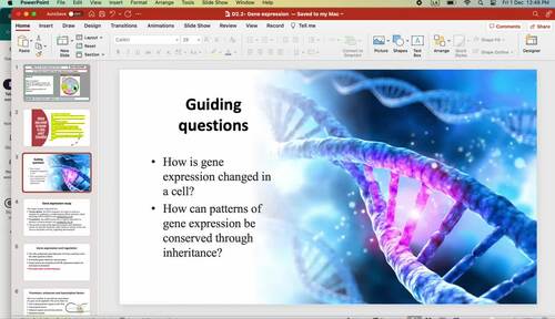IB Biology D2.2: Gene expression HL only (first exams in 2025) | TPT
