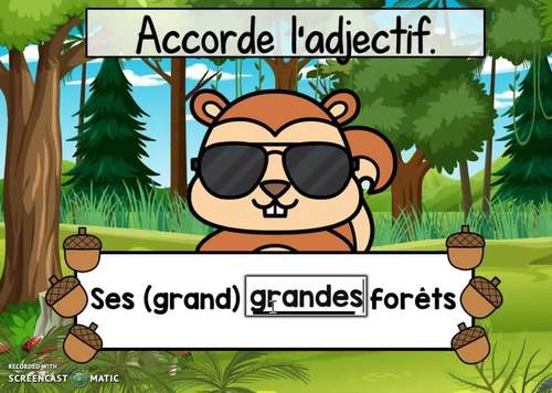 Accord de l'adjectif Boom Cards by Madame Soleil | TPT