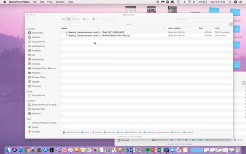 Reading Comprehension Leveled Daily Curriculum {LEVEL 3} by The Autism ...
