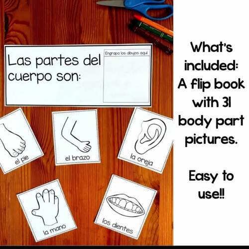 Las partes del cuerpo | Librito | Body parts in Spanish | Flip Book