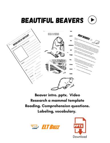 All About Beavers. Mammals. Animals. Research. Video. PPTx. | TPT