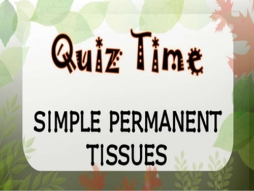 Quiz Time- Simple Permanent Tissues - Biology (Science) by Letstute