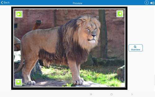 Learn the animal sounds - arabic by Learn with Amany | TPT