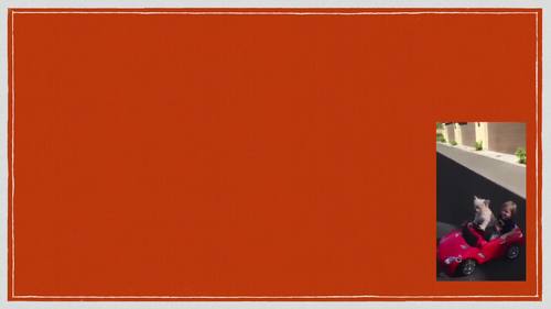 Financial Literacy: Purchasing a Car by Make it Middle School | TPT