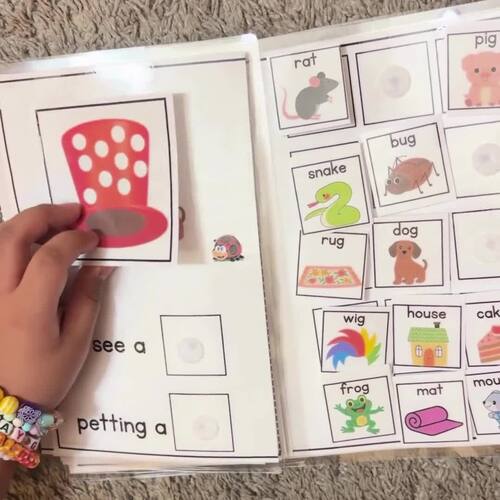Rhyming Words Adapted Book for Special Education | Hands-On Rhyming ...