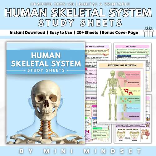 Human Skeletal System Worksheets | Science Activities & Study Guide for ...