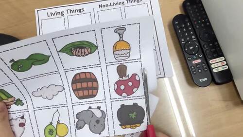 Living and Non-Living Things Sorting Cut and Paste | Pre-K Kinder| PDF