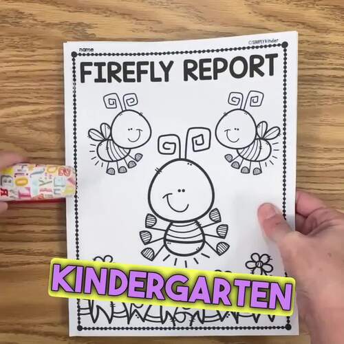 Bugs & Insect Activities, Spring Research Reports Writing & Crafts ...