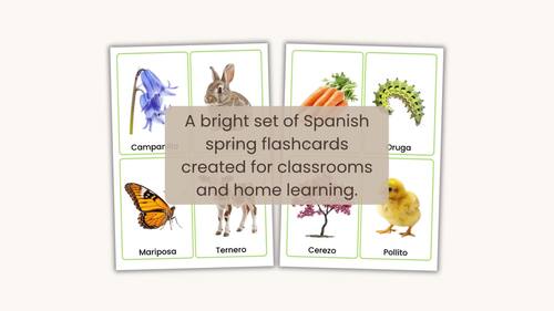 Spanish Spring Flashcards | Printable Spanish Vocabulary Resource
