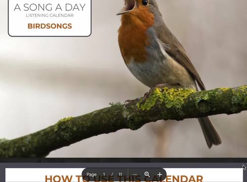 BIRDSONGS Listening Calendar with 30 days of activities and songs about ...