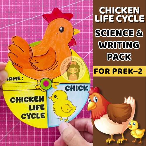 PreK-2 Chicken Life Cycle Worksheets: Science and Writing Activities