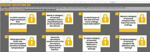 Nervous System Sensory Receptors Lock Activity by Abaco Education Zone