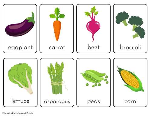5 Food Groups/Montessori 3 Part Cards/Food Sorting/Writing Activity