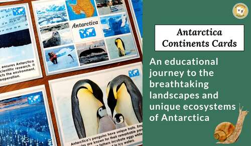 Antarctica Continent Cards Montessori Student Research Worksheets