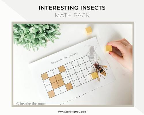 Interesting Insects Math Pack, Prek-2nd, Spring Math Unit, Bugs, Science