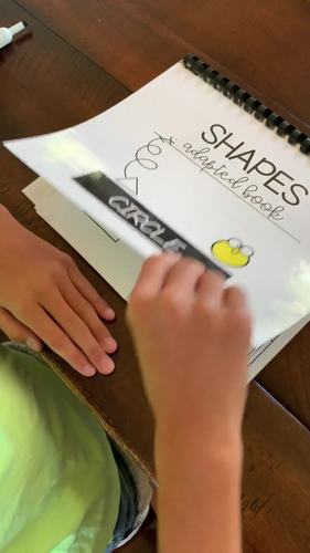 2D Shapes- Adapted/ Interactive Books (10 PDF + 10 digital books)
