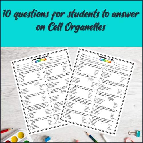 Cell Organelles Christmas Color by Number | Christmas Science Activity ...
