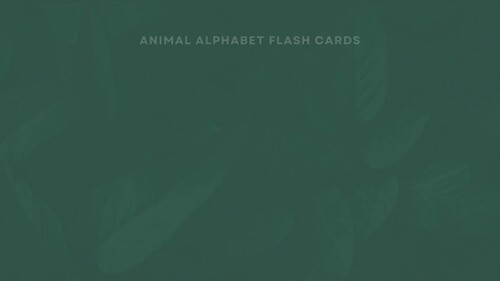 Animal Alphabet Flash Cards by Story Spark Studio | TPT