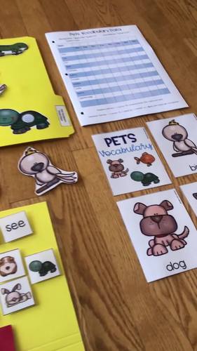 Pets Vocabulary by Autism Little Learners | Teachers Pay Teachers