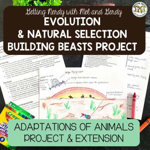Evolution | Natural Selection | Mutations | Adaptations of Animals Project