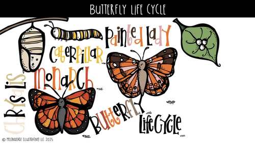 Butterfly life cycle clip art Butterfly clip art COLORED Version