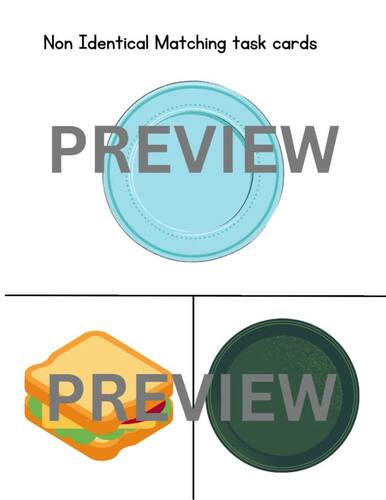 Non identical Matching Task cards for autism and special education