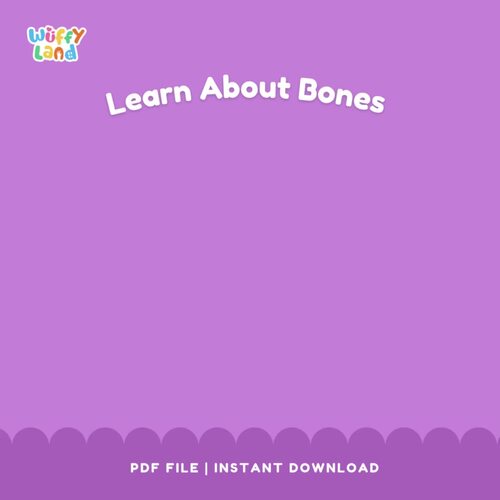 Learn About Bones - Human Skeleton Labeling Activity - Fun Science ...