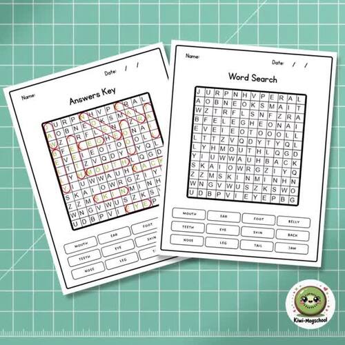 Hippo Body Parts Anatomy Labeling | Safari Animal Science Activity (No ...