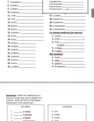 La Familia - Spanish Family Lesson w/Speaking Activities & multiple ...