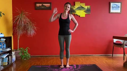 PE 'At Home' Cardio Endurance + Muscular Strength Challenge Activities