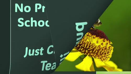 SUMMER Digital Vocabulary Lesson and Graphic Organizers, Powerpoint