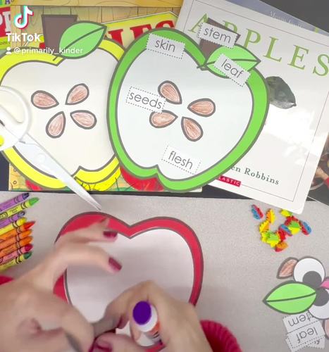 Parts of an Apple | Apple Craft | Apple Labeling Activity | Fall Science