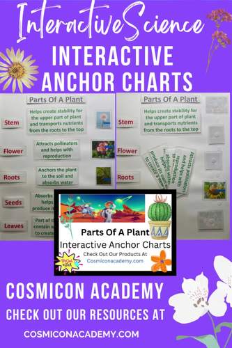 Downloadable Interactive Science Anchor Chart: Parts Of A Plant | TPT