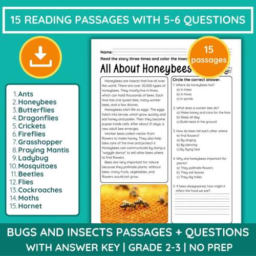 Bugs Insects Nonfiction Informational Reading Comprehension Worksheet ...
