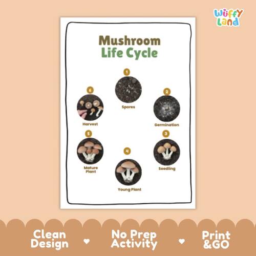 Mushroom Life Cycle Sequencing Craft & Poster | Fungi Plant Science ...