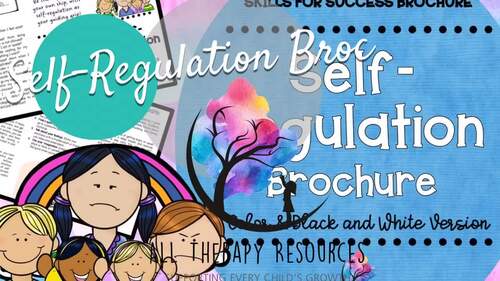 SELF REGULATION BROCHURE I Social Emotional Learning & Executive ...