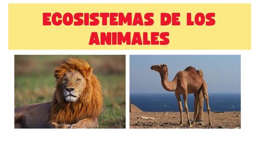 Dual Language Research Project in Spanish and English on Ecosystems