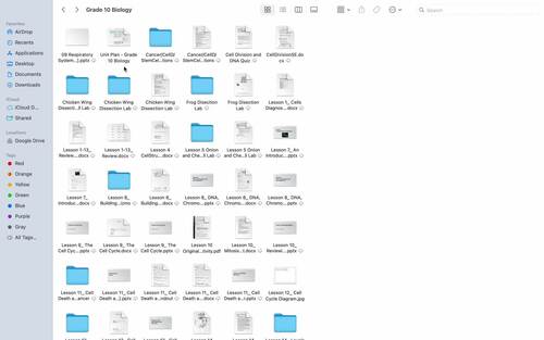 Grade 10 Science Entire Unit including EVERYTHING NEEDED | TPT